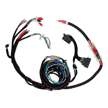 DS18 JL-HARNESS Jeep JL/JLU/JT Plug and Play Harness for JL-SBAR Overh ...