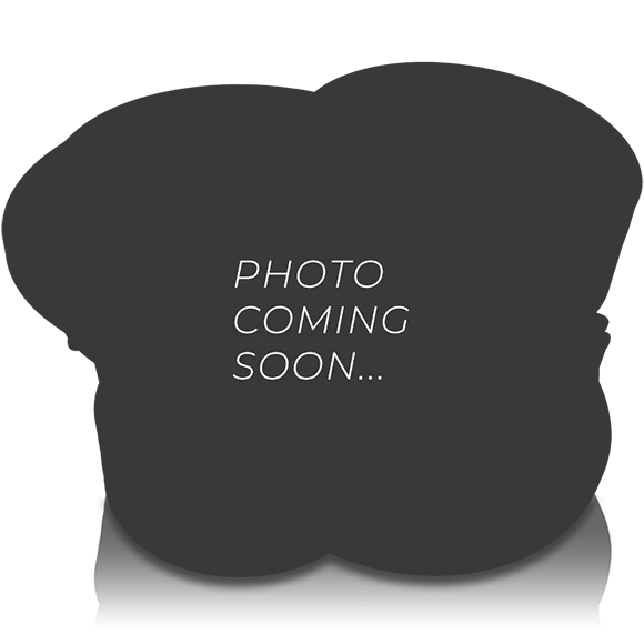 Sundown Audio NS-Series Drop-In Recone Kit – Droppin HZ Car Audio